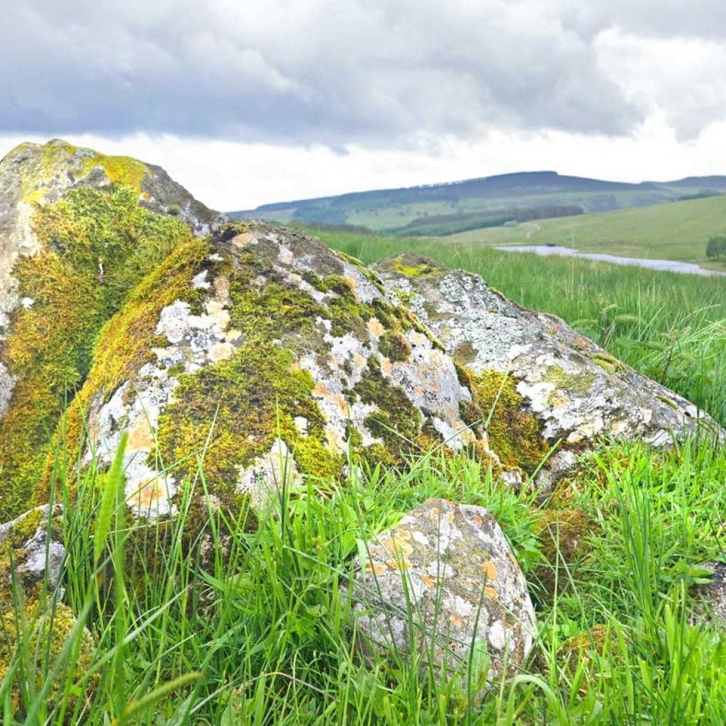 Backwater Dam loop walk - Cateran Ecomuseum