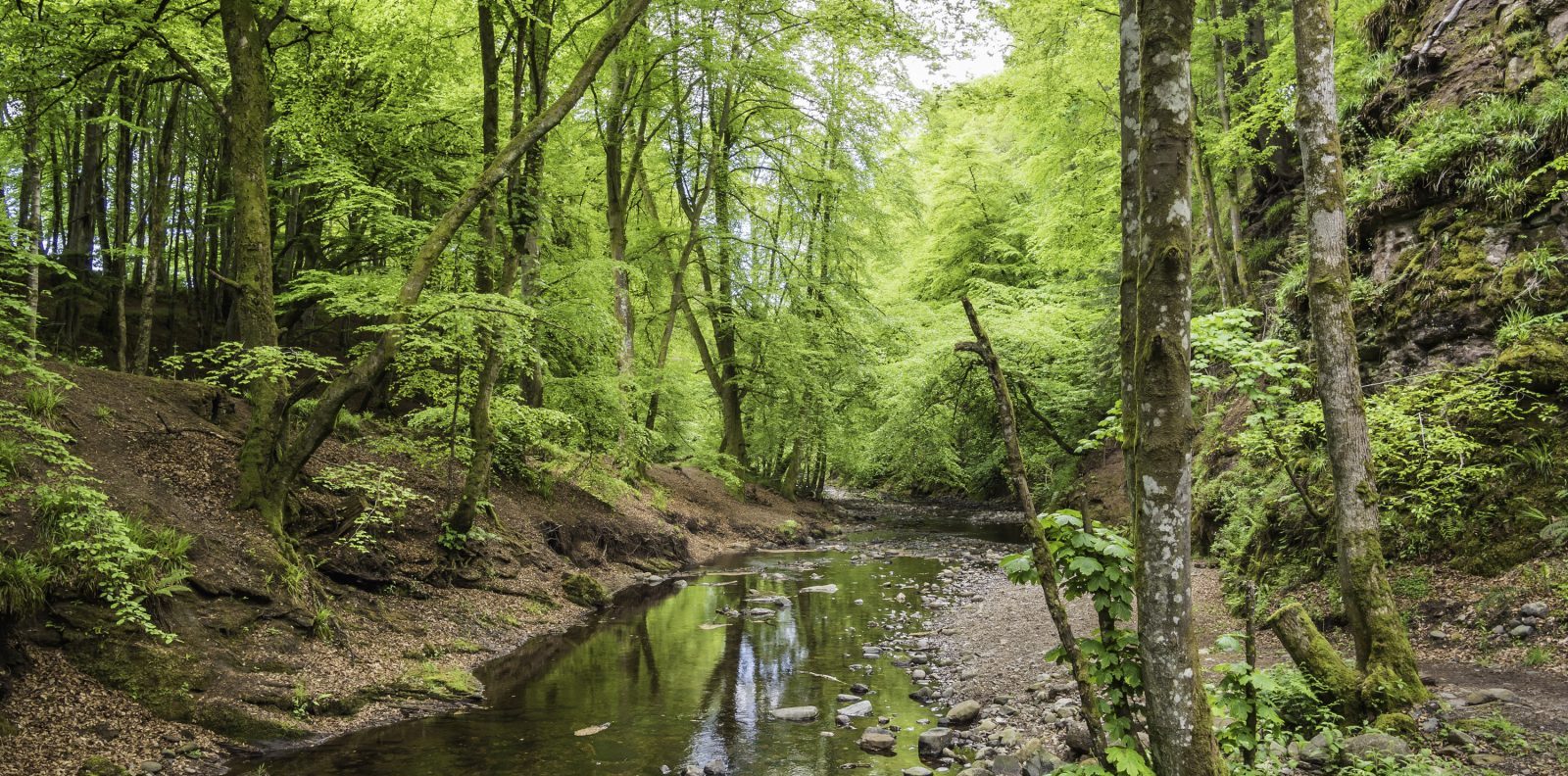 Den 'o' Alyth - Cateran Ecomuseum