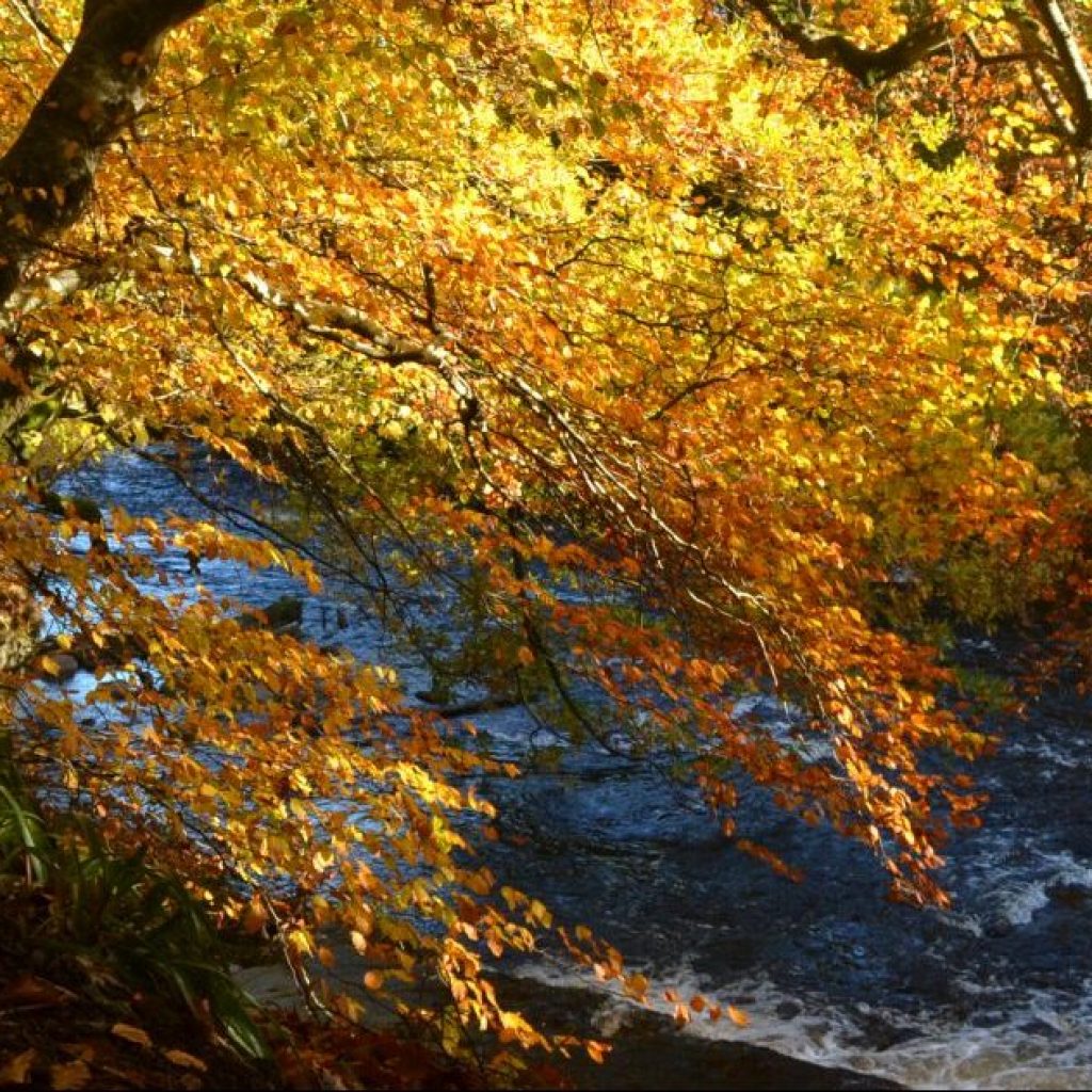 The Shanzie Souterrain - Cateran Ecomuseum