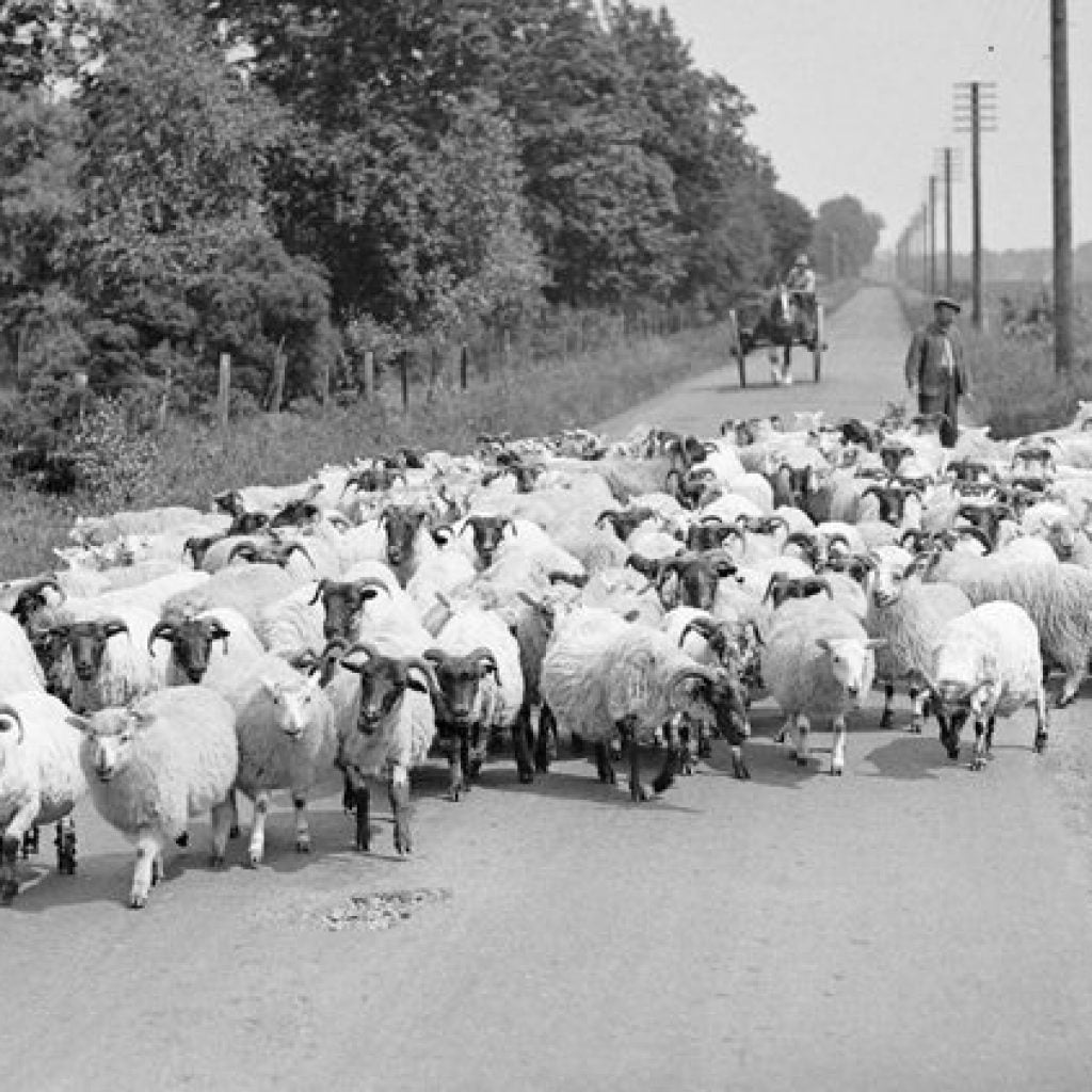 James Sandy - Cateran Ecomuseum