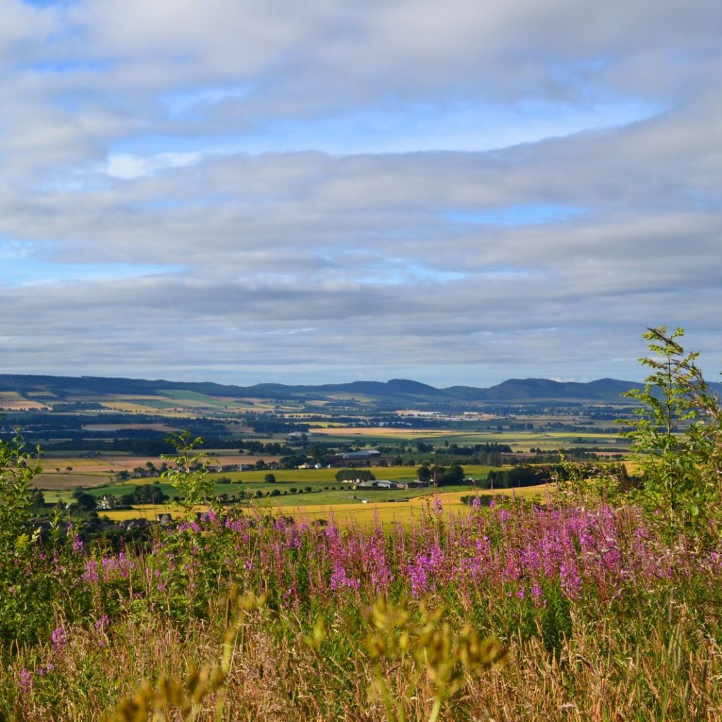 The Caterans and Droving - Cateran Ecomuseum