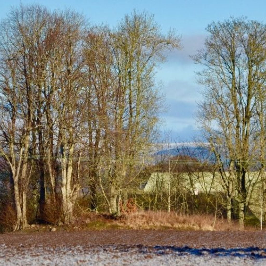 Belmont Castle - Cateran Ecomuseum