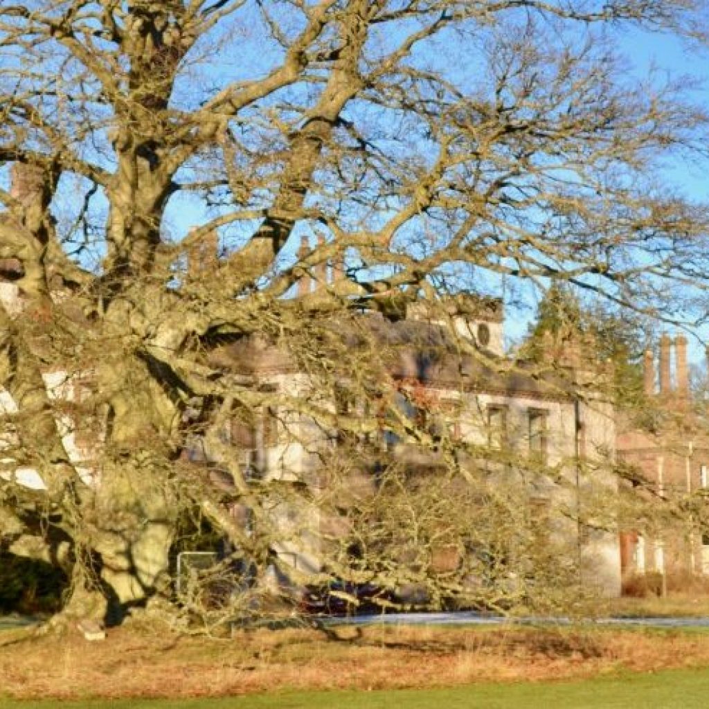 Cardean Roman Fort - Cateran Ecomuseum