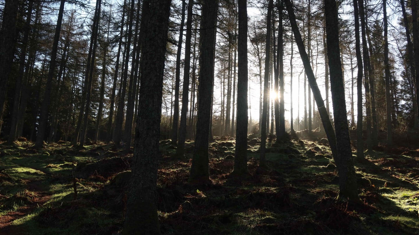 Hill of Alyth Road Bike Ramble - Cateran Ecomuseum