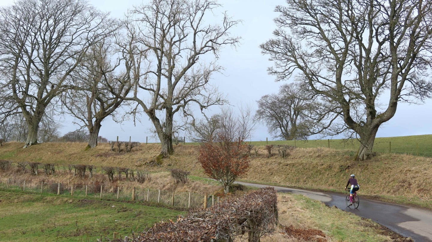 Loch of Lintrathen Road Bike Tour - Cateran Ecomuseum