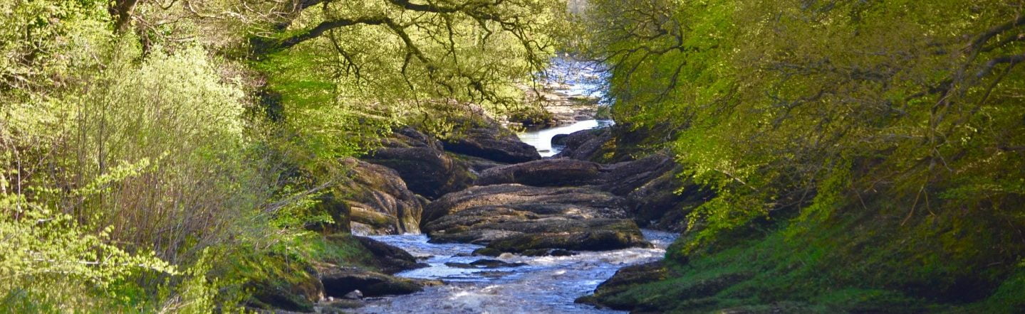 Cargill's Leap - Cateran Ecomuseum