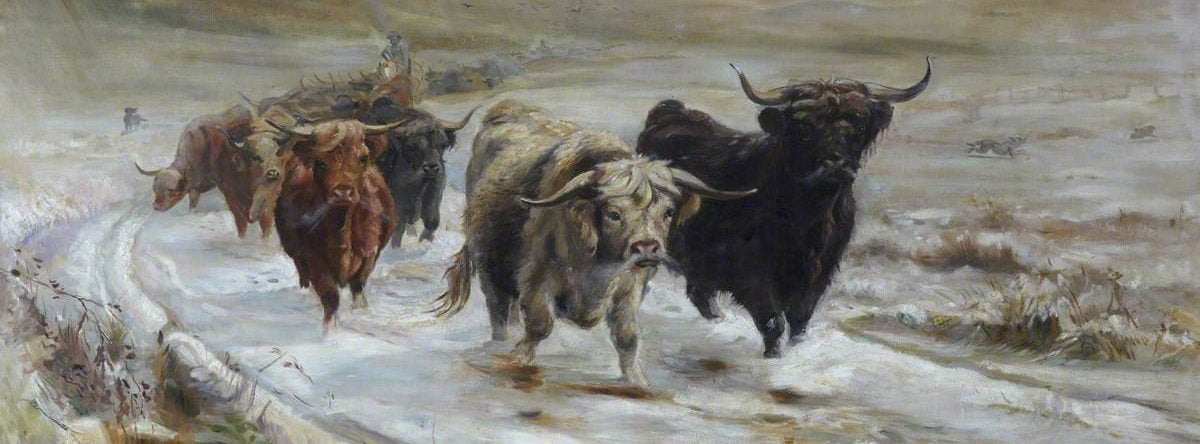 Blog - Cateran Ecomuseum