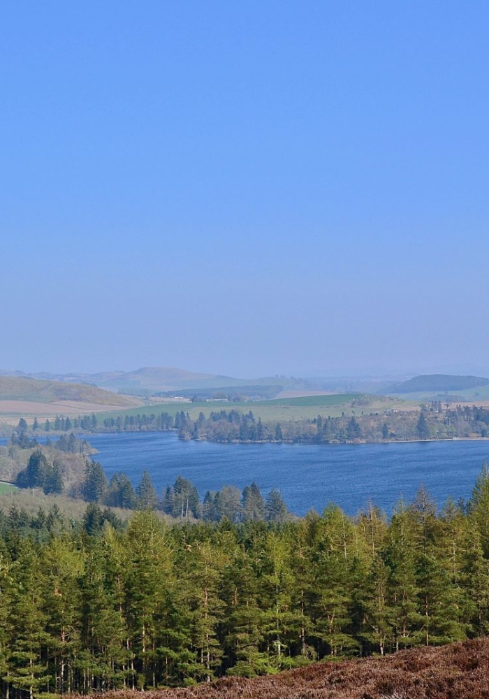 Lintrathen Wildlife Reserve - Cateran Ecomuseum
