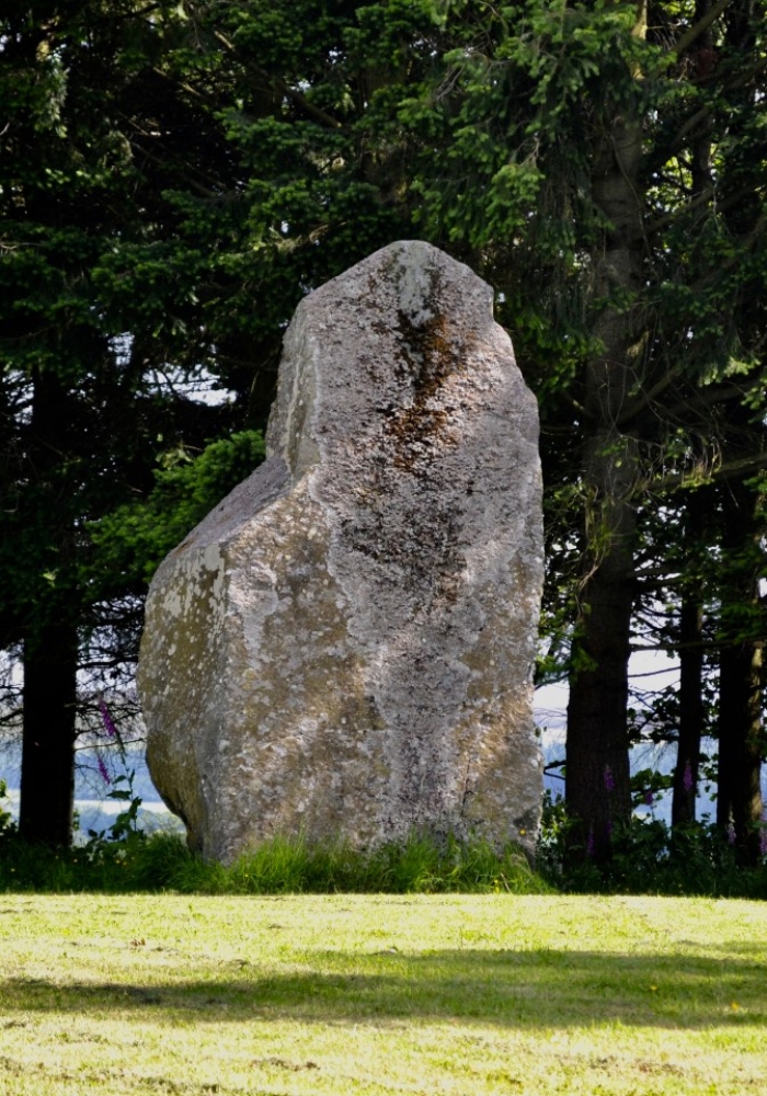 Macbeth's Stone - Cateran Ecomuseum