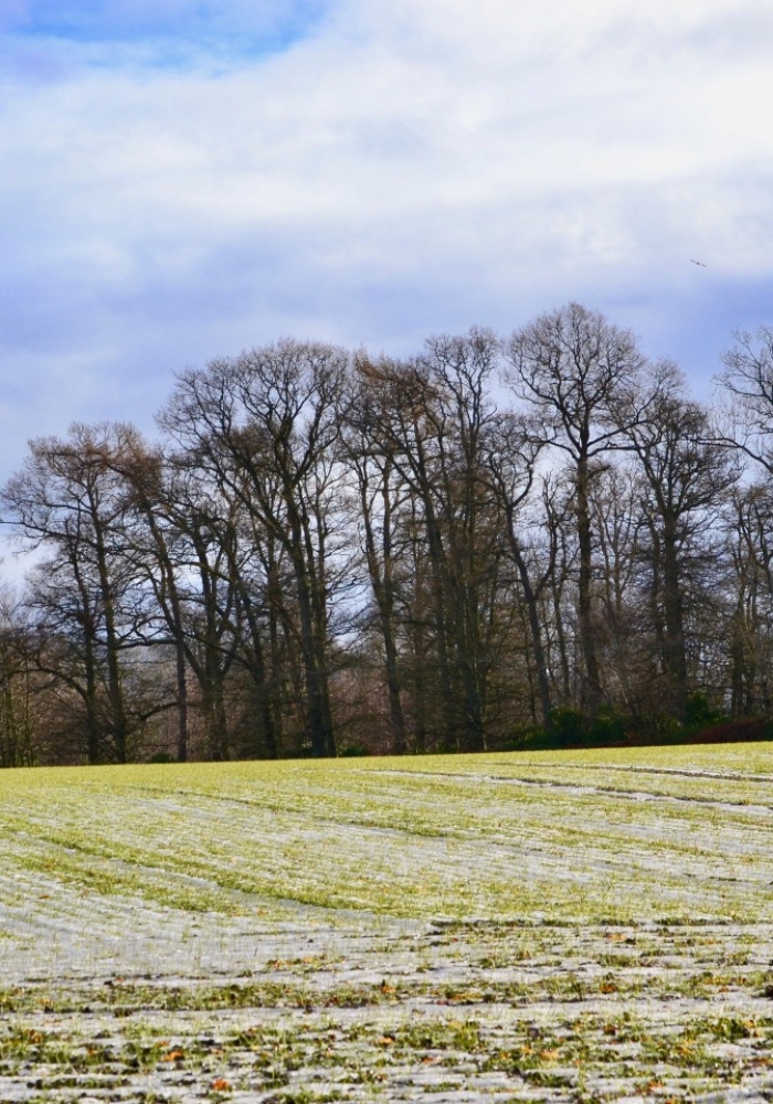 Cardean Roman Fort - Cateran Ecomuseum