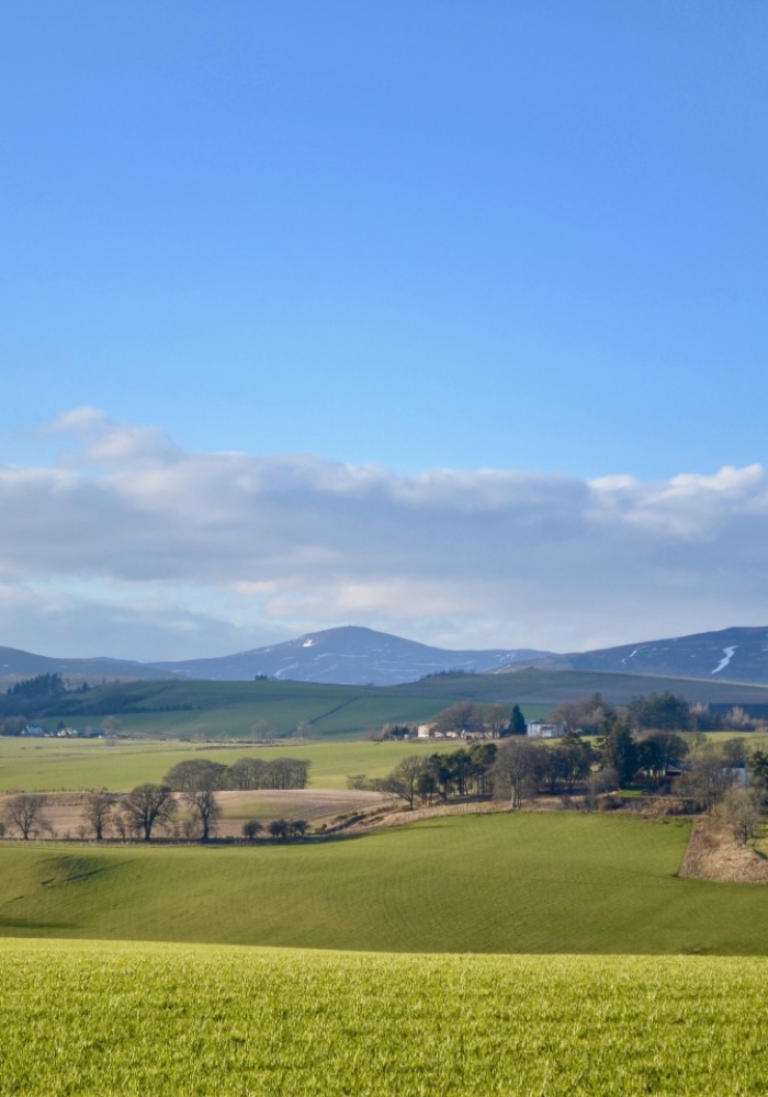 Mount Blair - Cateran Ecomuseum