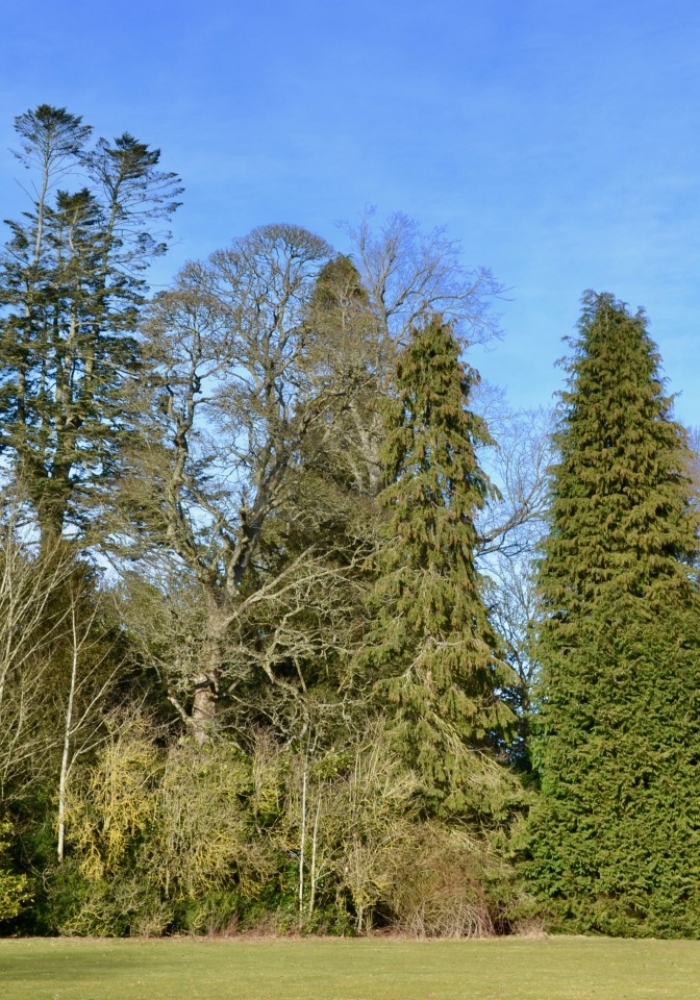 Belmont Castle - Cateran Ecomuseum