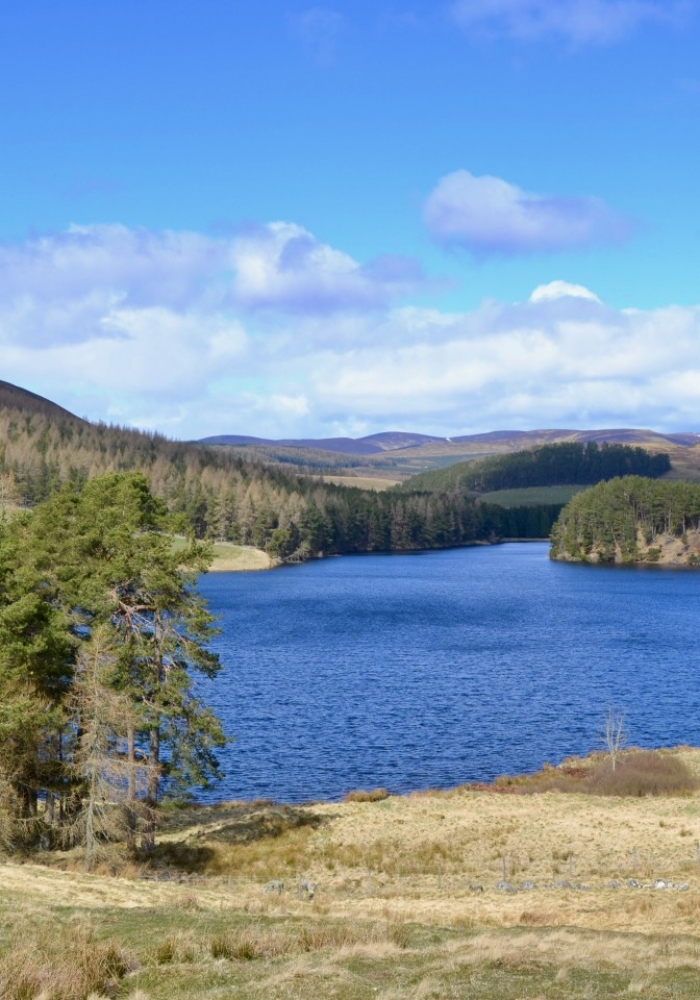 Backwater Dam - Cateran Ecomuseum