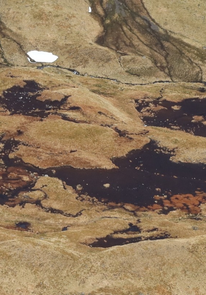 Caenlochan Special Area of Conservation - Cateran Ecomuseum