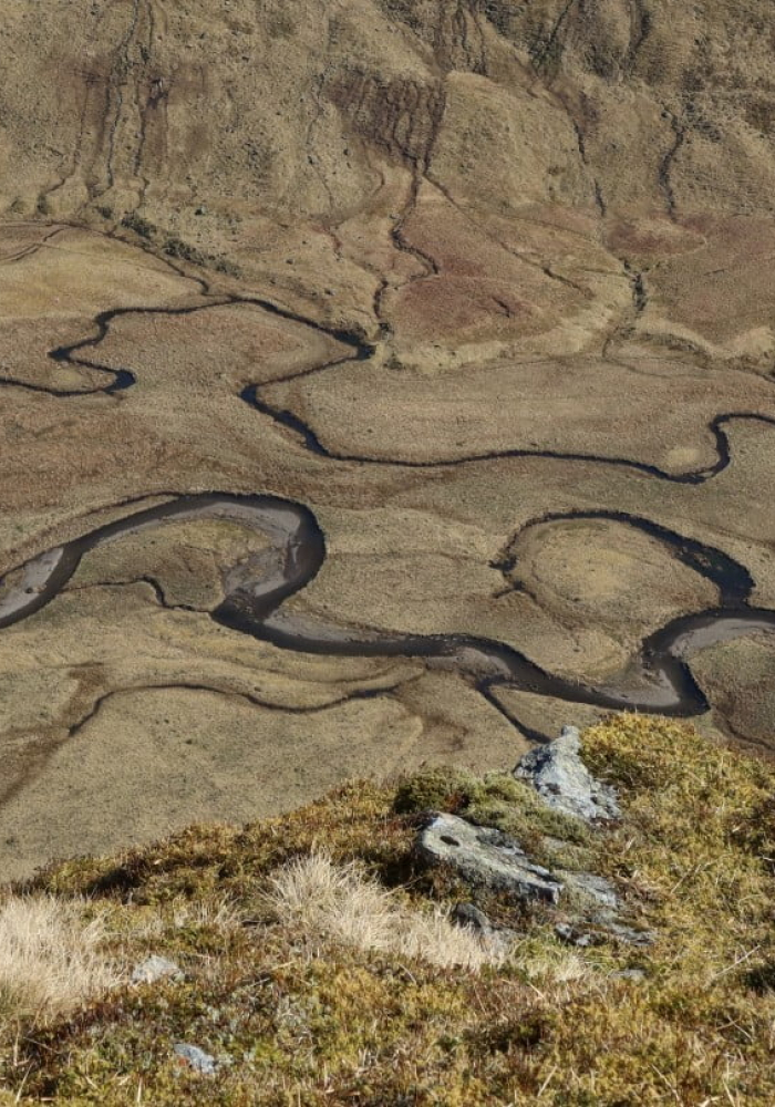 Caenlochan Special Area of Conservation - Cateran Ecomuseum