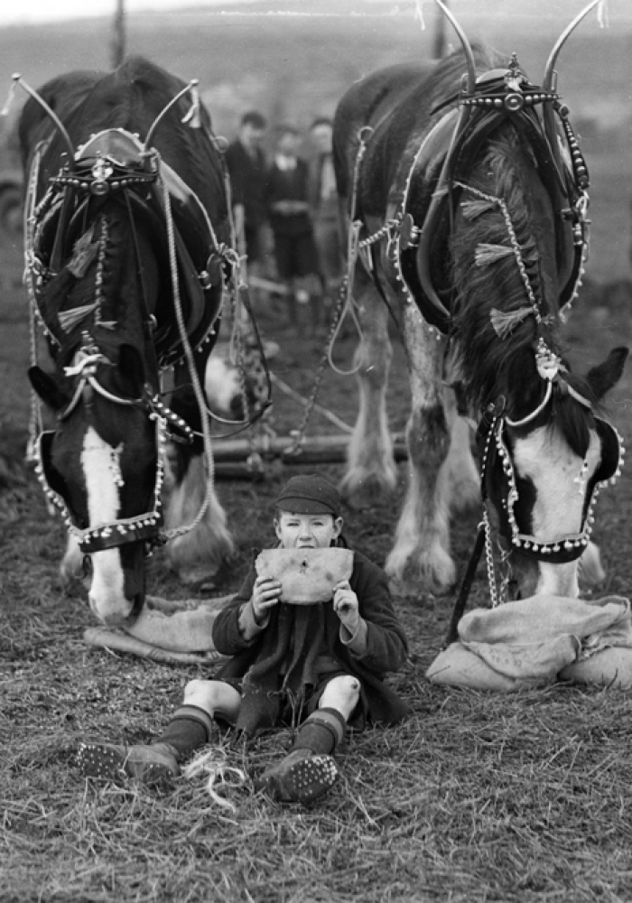 Alyth Museum - Cateran Ecomuseum