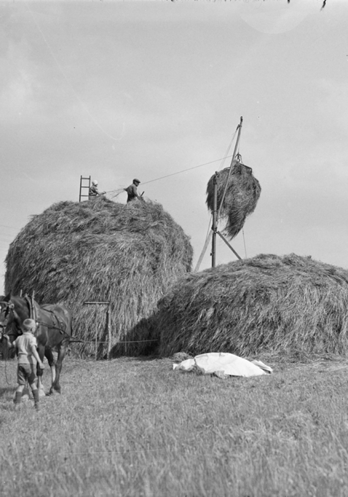 Alyth Museum - Cateran Ecomuseum