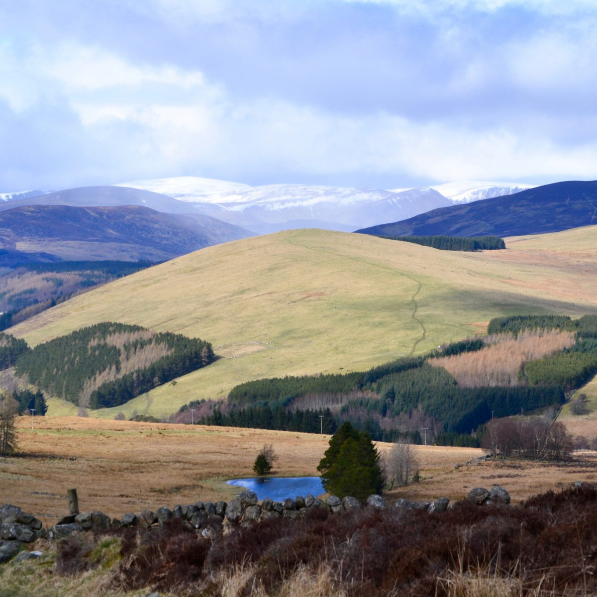 Gallery - Cateran Ecomuseum